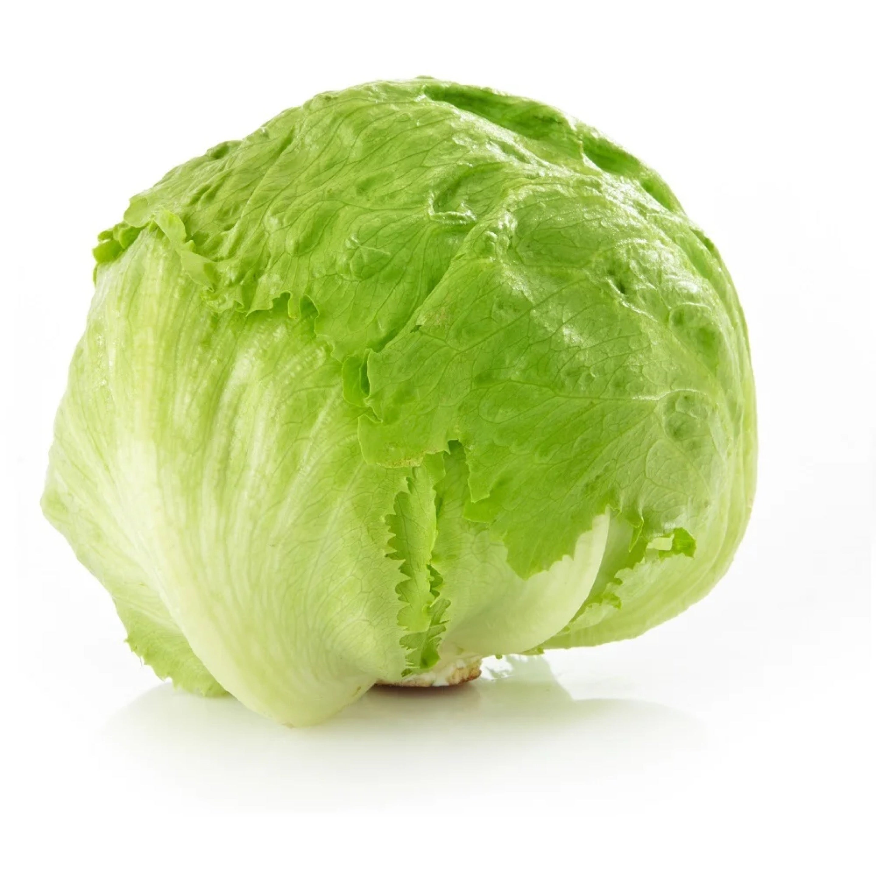 Lettuce - Iceberg (Half) | The Hippie Harvest